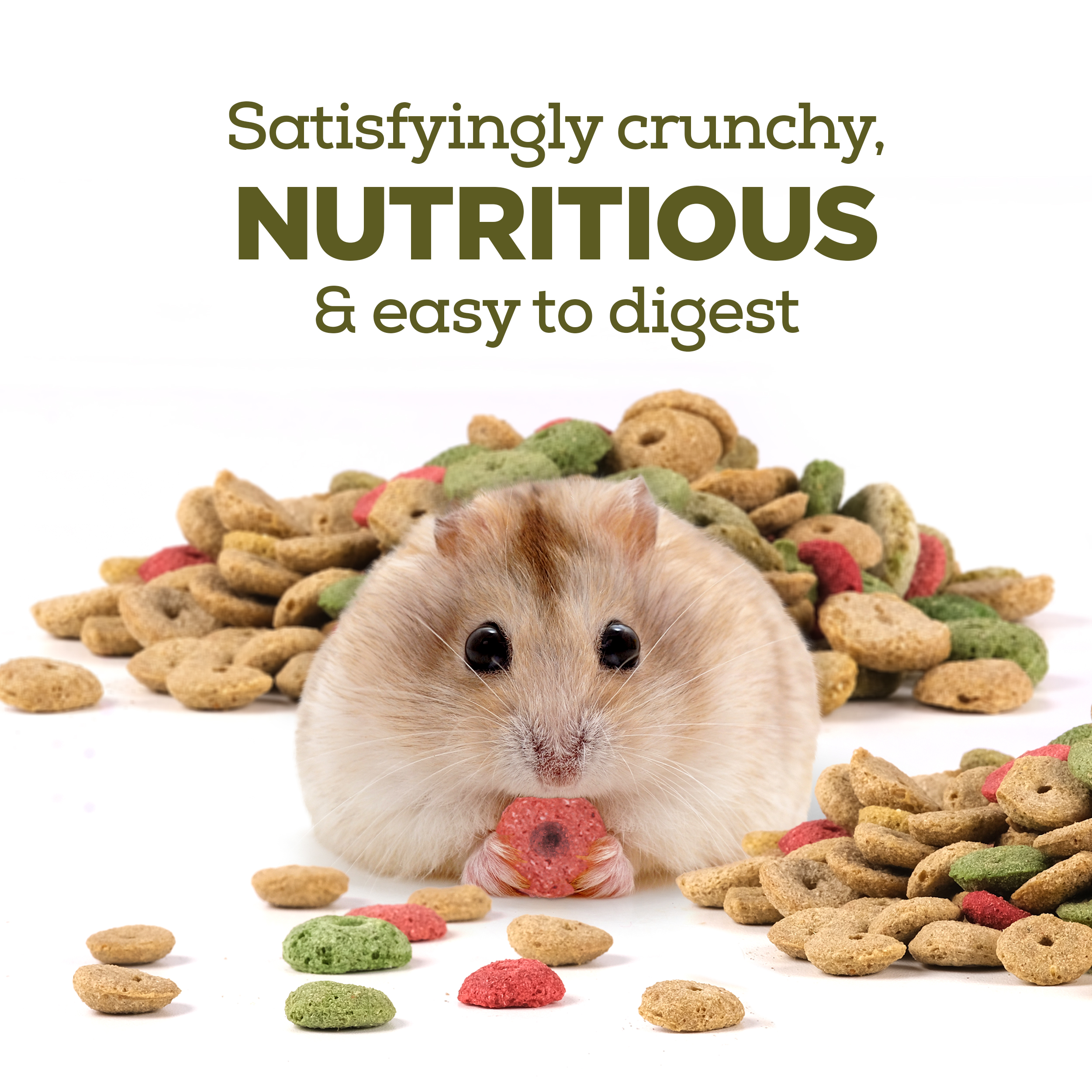 Crunchy Treats – Donuts